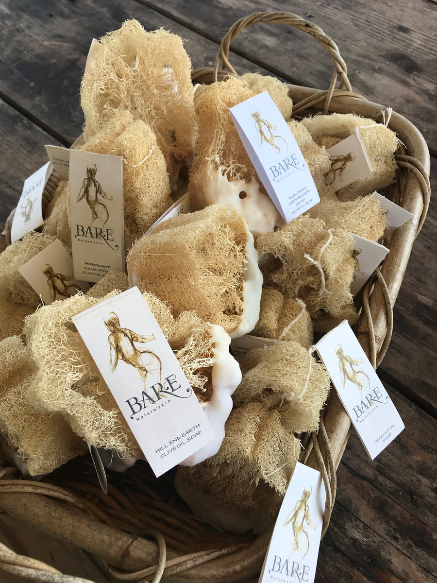 Hand Dipped Luffa – BARE Nature'sKin