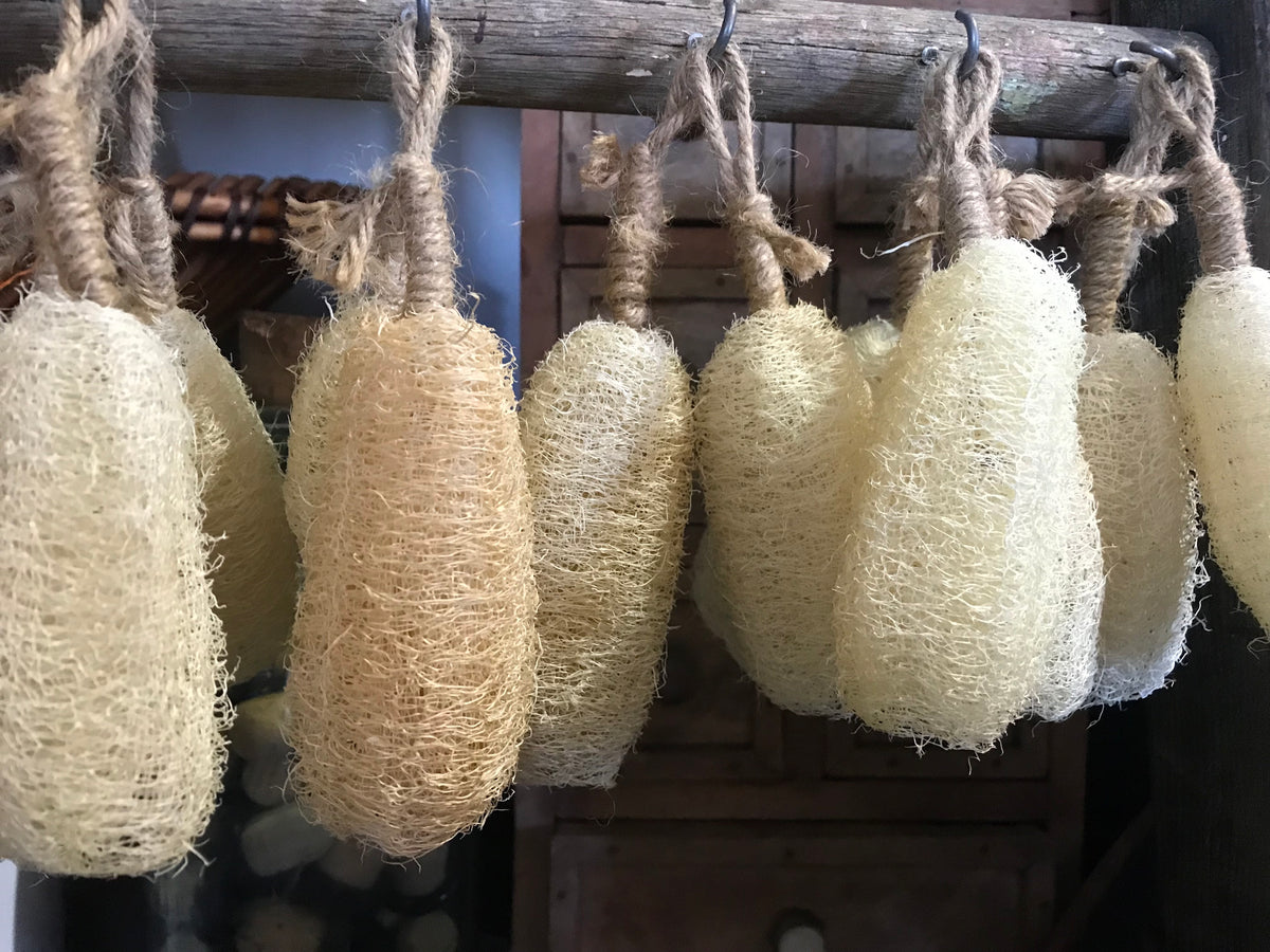 Luffa's – BARE Nature'sKin